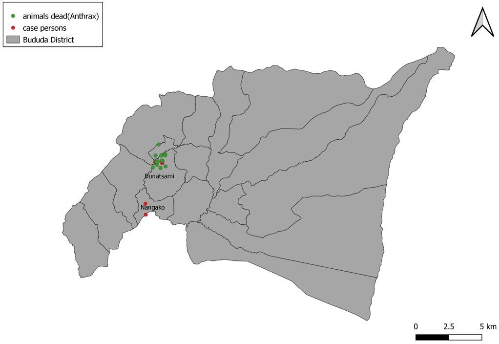 The first ever reported anthrax outbreak in Bududa District, Eastern ...